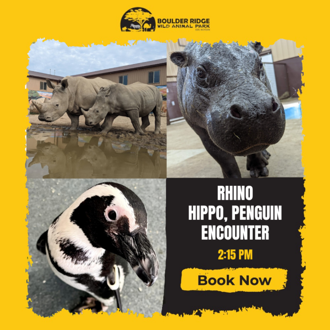 VIP Animal Encounters - Grand Rapids Zoo - Boulder Ridge Wild Animal Park
