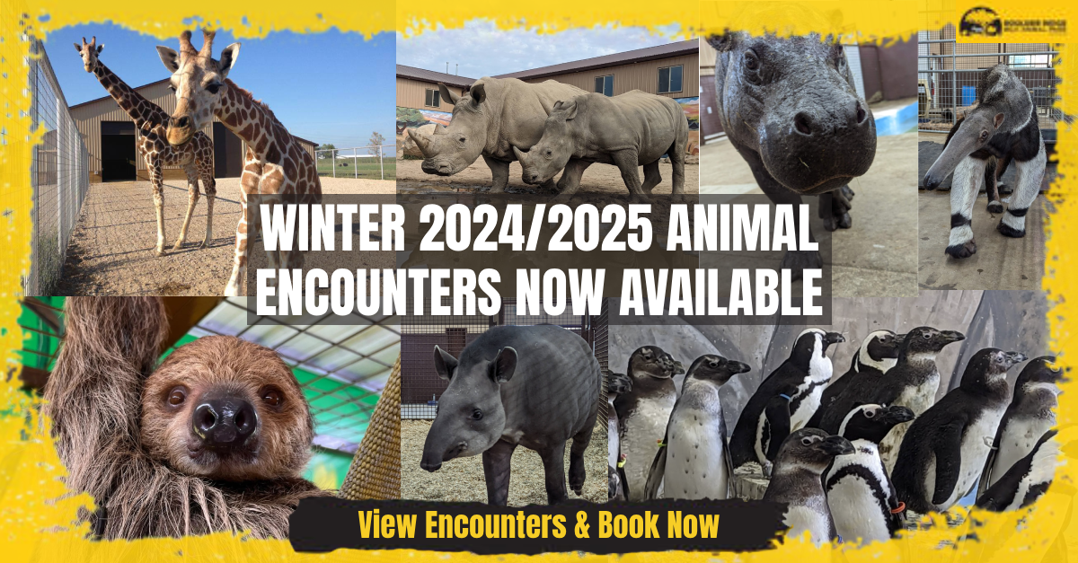 VIP Animal Encounters - Grand Rapids Zoo - Boulder Ridge Wild Animal Park
