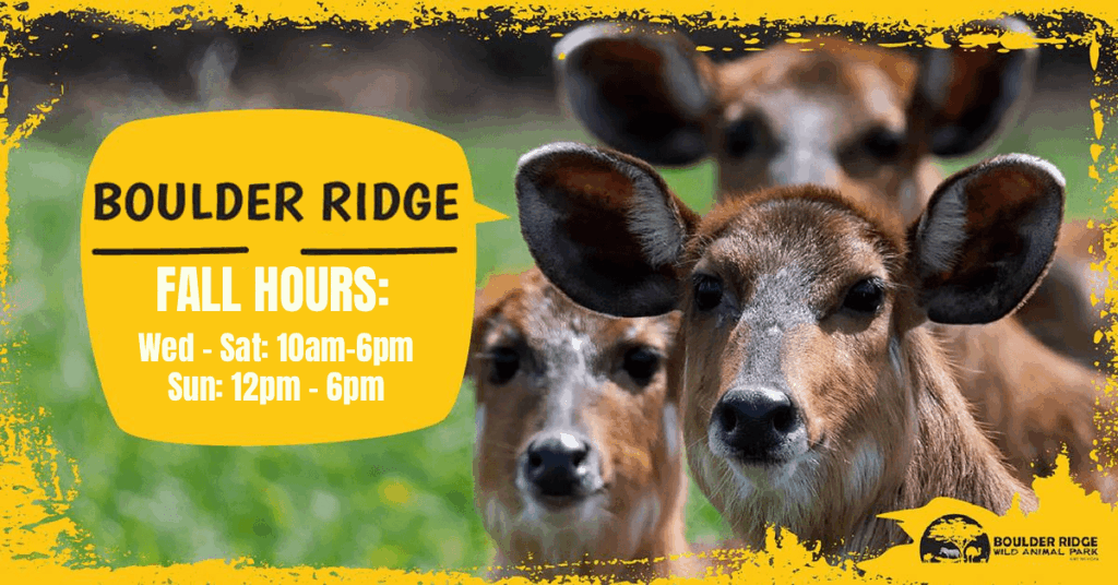 Grand Rapids Zoo - Boulder Ridge Wild Animal Park | Zoo | Grand Rapids ...